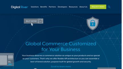 DigitalRiver Reviews - 59 Reviews of Digitalriver.com | Sitejabber
